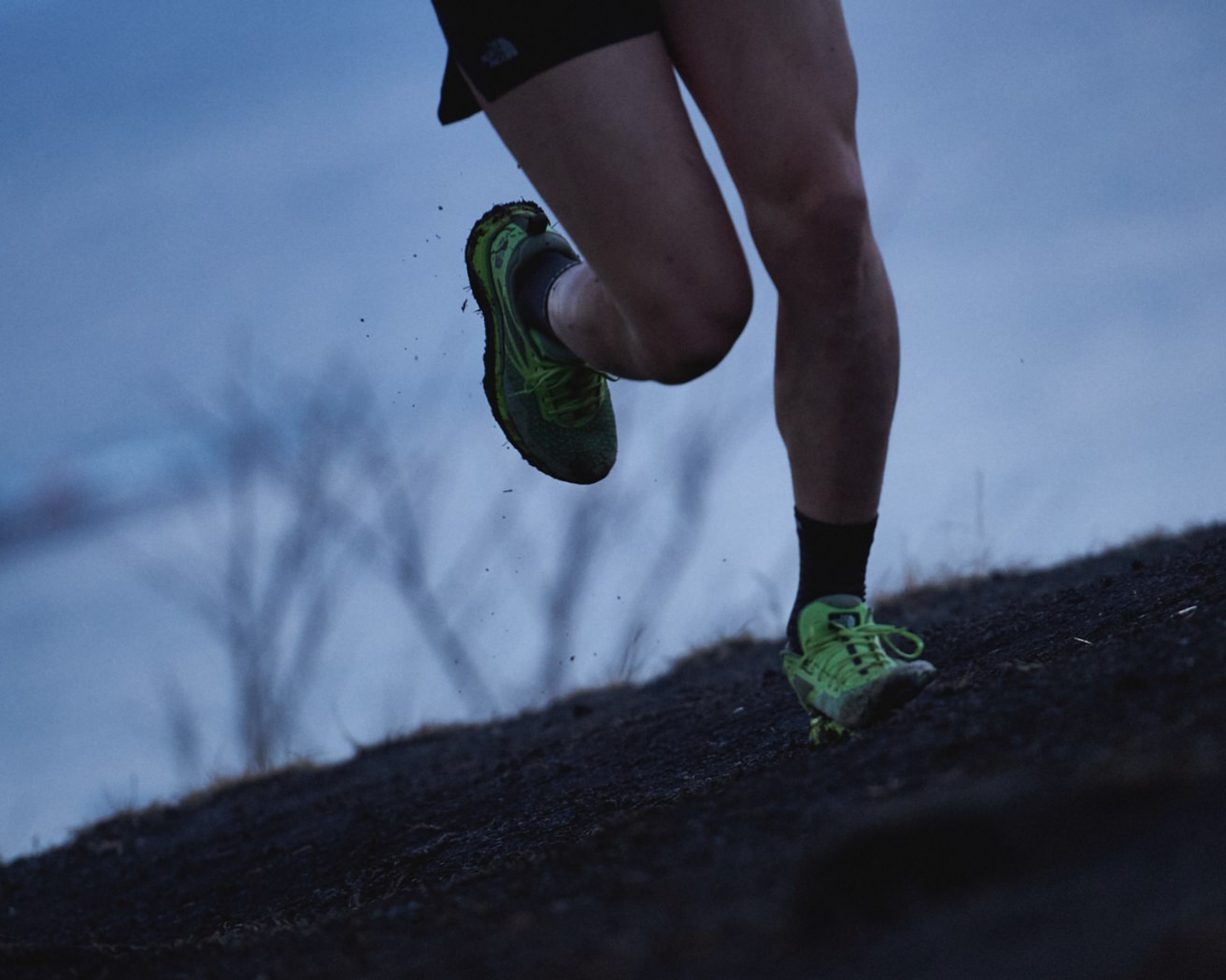 VECTIVE™️ - THE NORTH FACE RUN - GOLDWIN