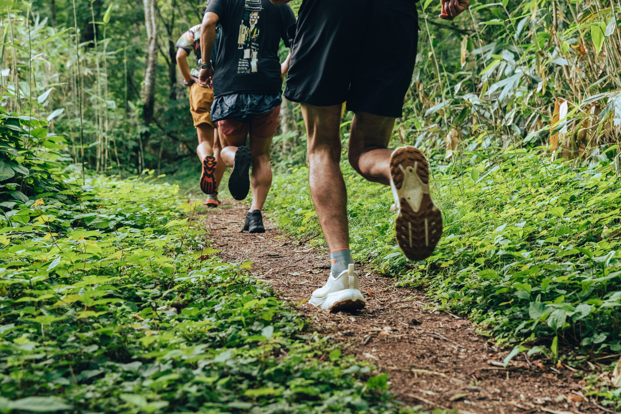 Running in the North - THE NORTH FACE RUN - GOLDWIN